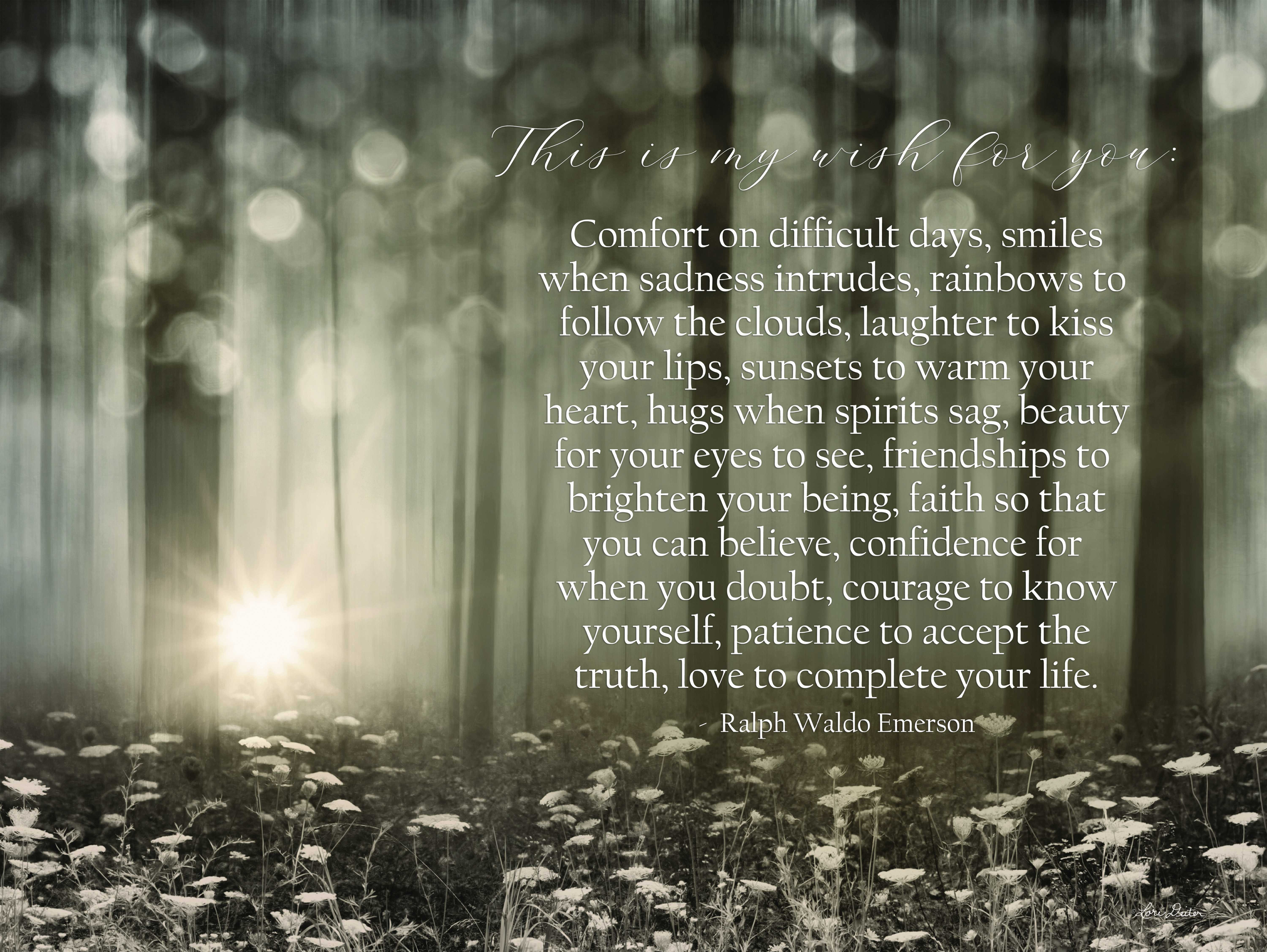 Trinx My Wish for You - Trees by Lori Deiter - Print on Canvas | Wayfair